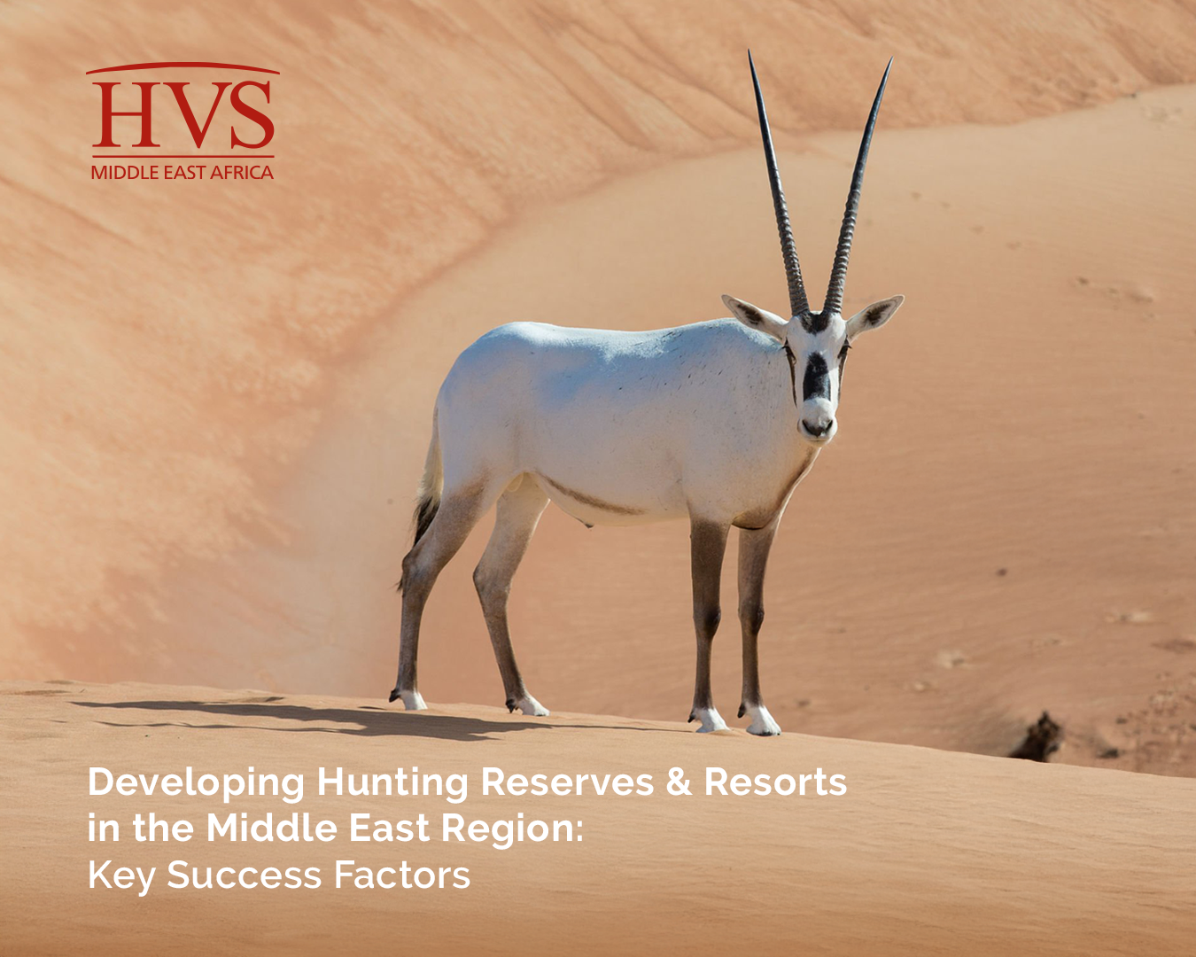 HVS | Developing Hunting Reserves & Resorts in the Middle East Region ...